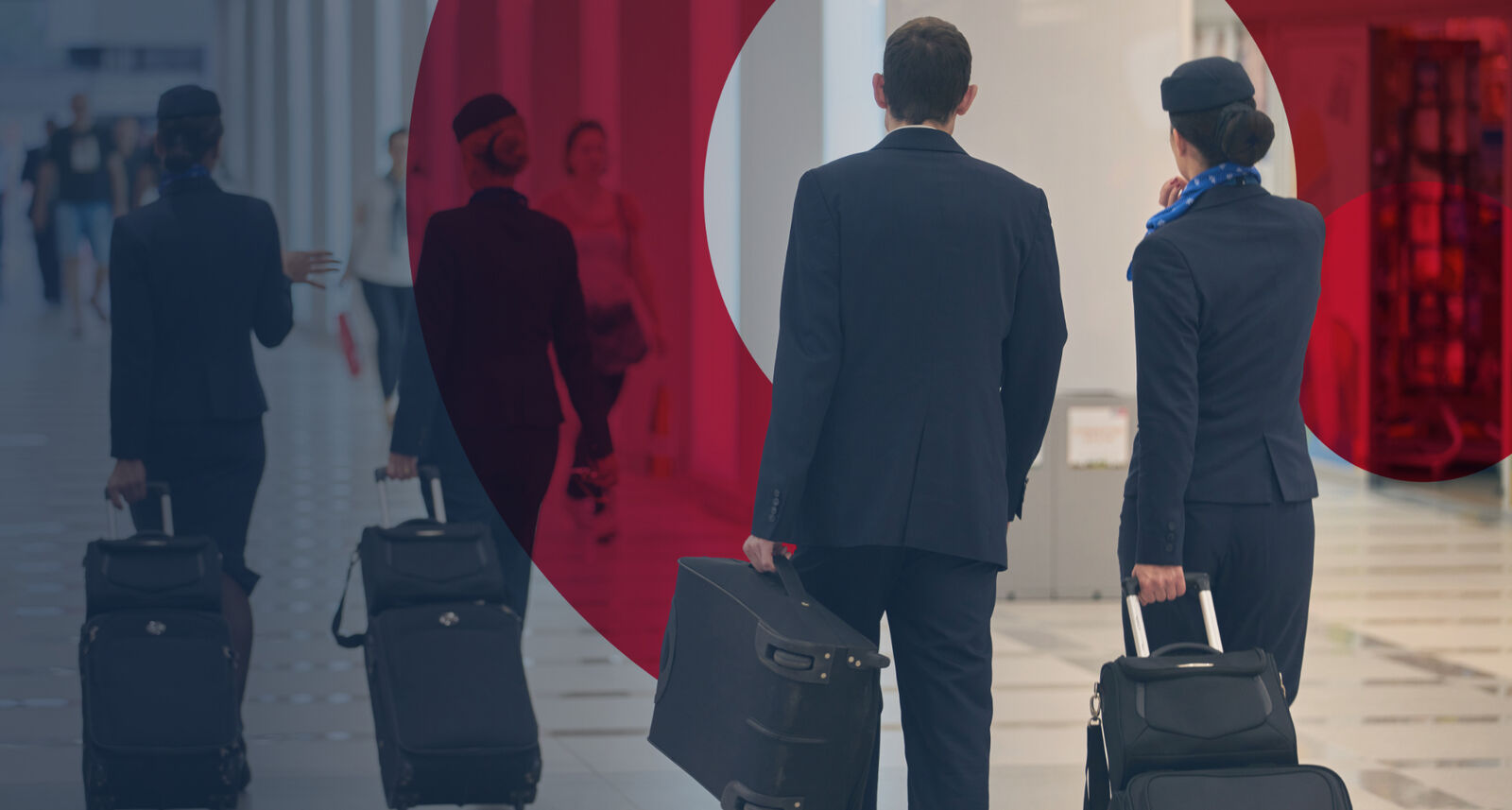 How to leverage a managed transport provider to maximise savings on ...